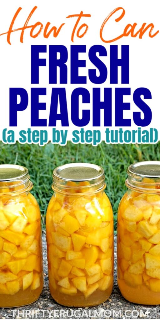 How to Can Peaches (a step by step recipe tutorial) - Thrifty Frugal Mom